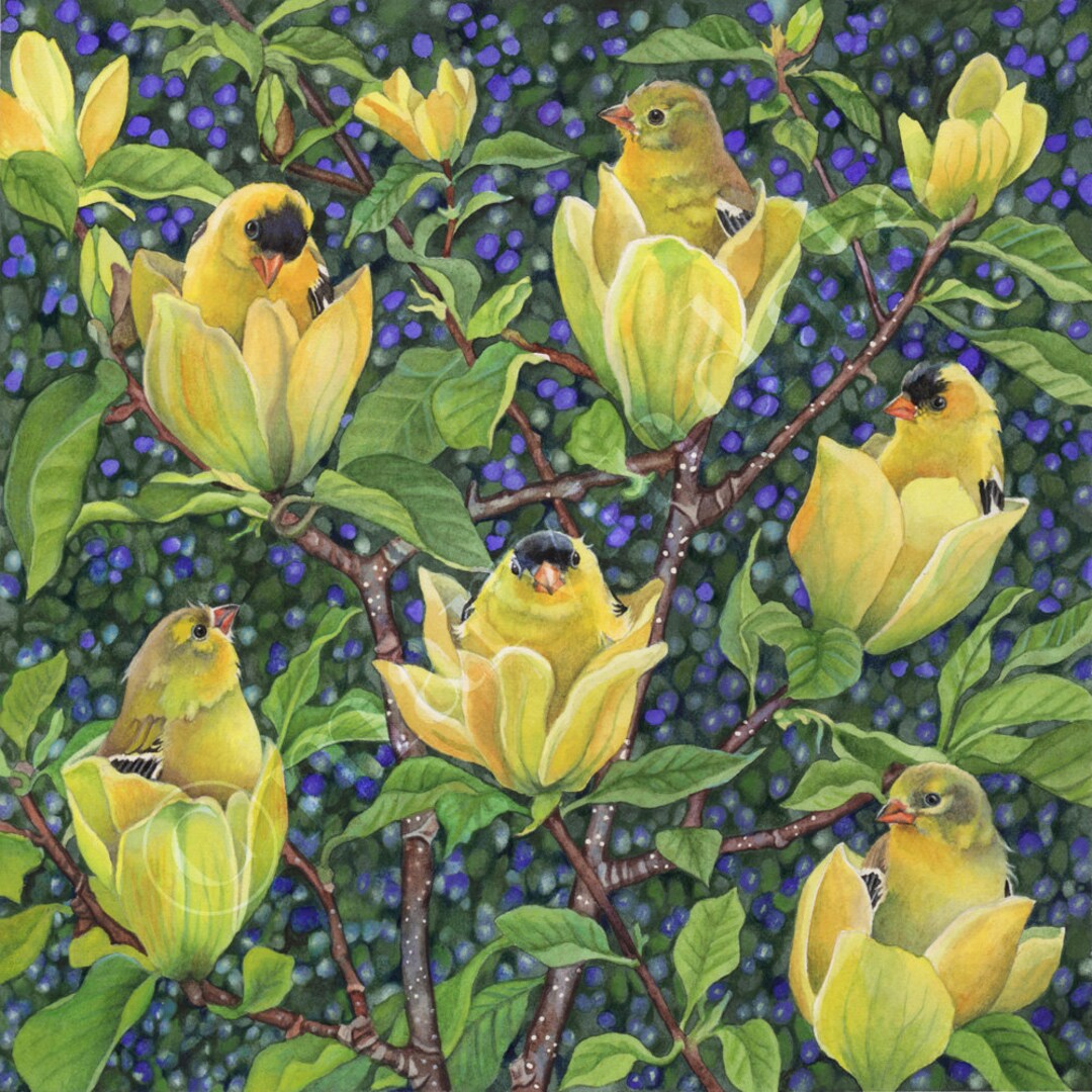 In Bloom (framed Art Print From Watercolour of Goldfinches in a 'yellow ...