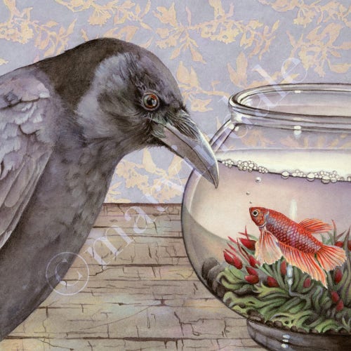 Crow Consults the Buddha framed Print From Watercolour of - Etsy Canada