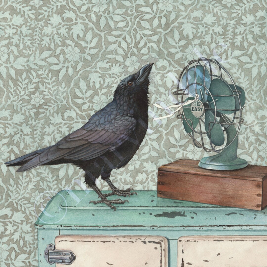Crow Cools off (framed Print From Watercolour of Crow With Antique Fan ...