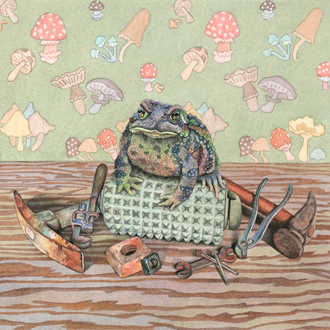 Toad's Tools framed Print From Watercolour of a Toad - Etsy