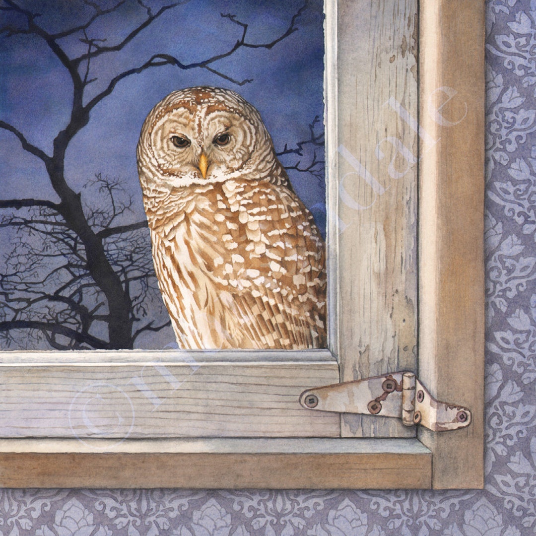 The Observer framed Art Print From Watercolour of Barred Owl in Window ...