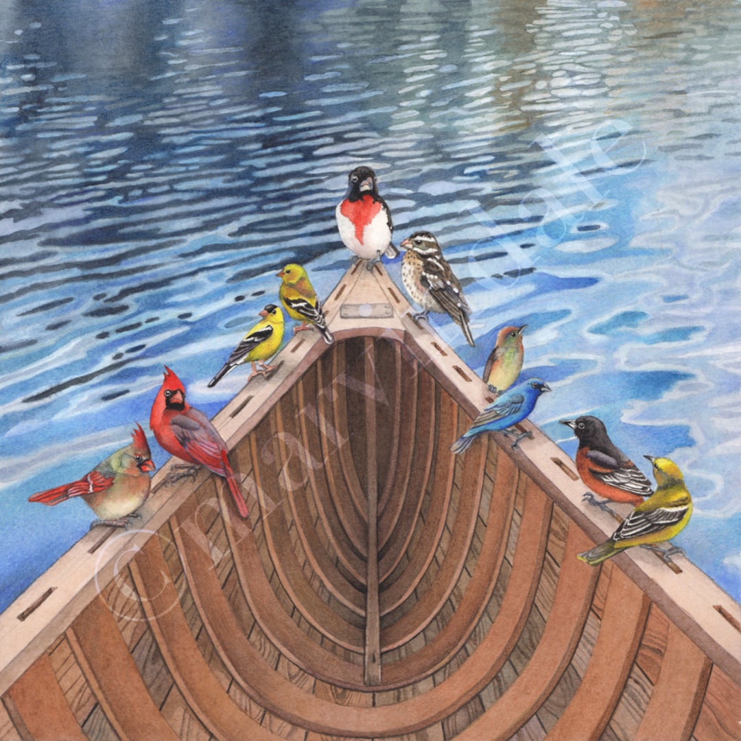 Songbirds in Canoe Framed Art Print: Bird Lover Gift - Etsy