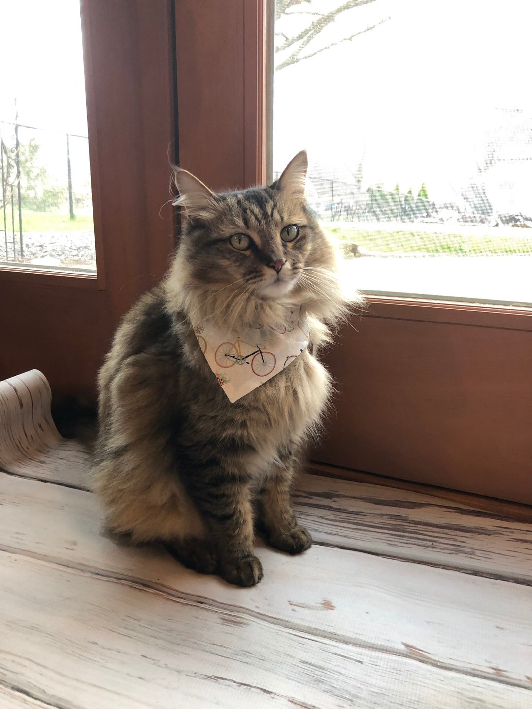 Bicycle Cat Bandana | Bicycle Dog Bandana | Spring Cat Bandana | Spring ...