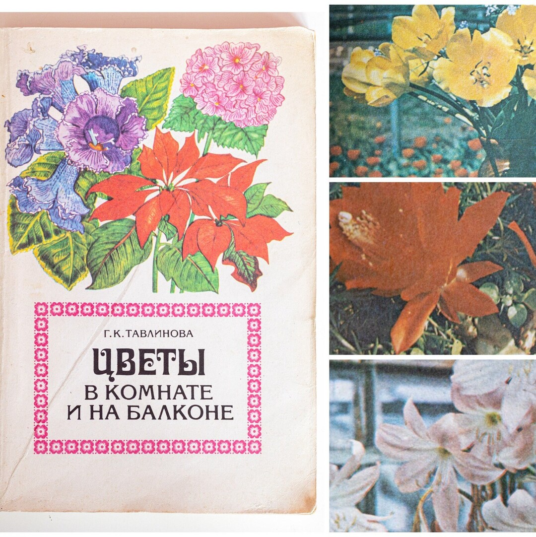 Soviet Botanical Plants Book Flower Illustration Reference Books Herbs ...