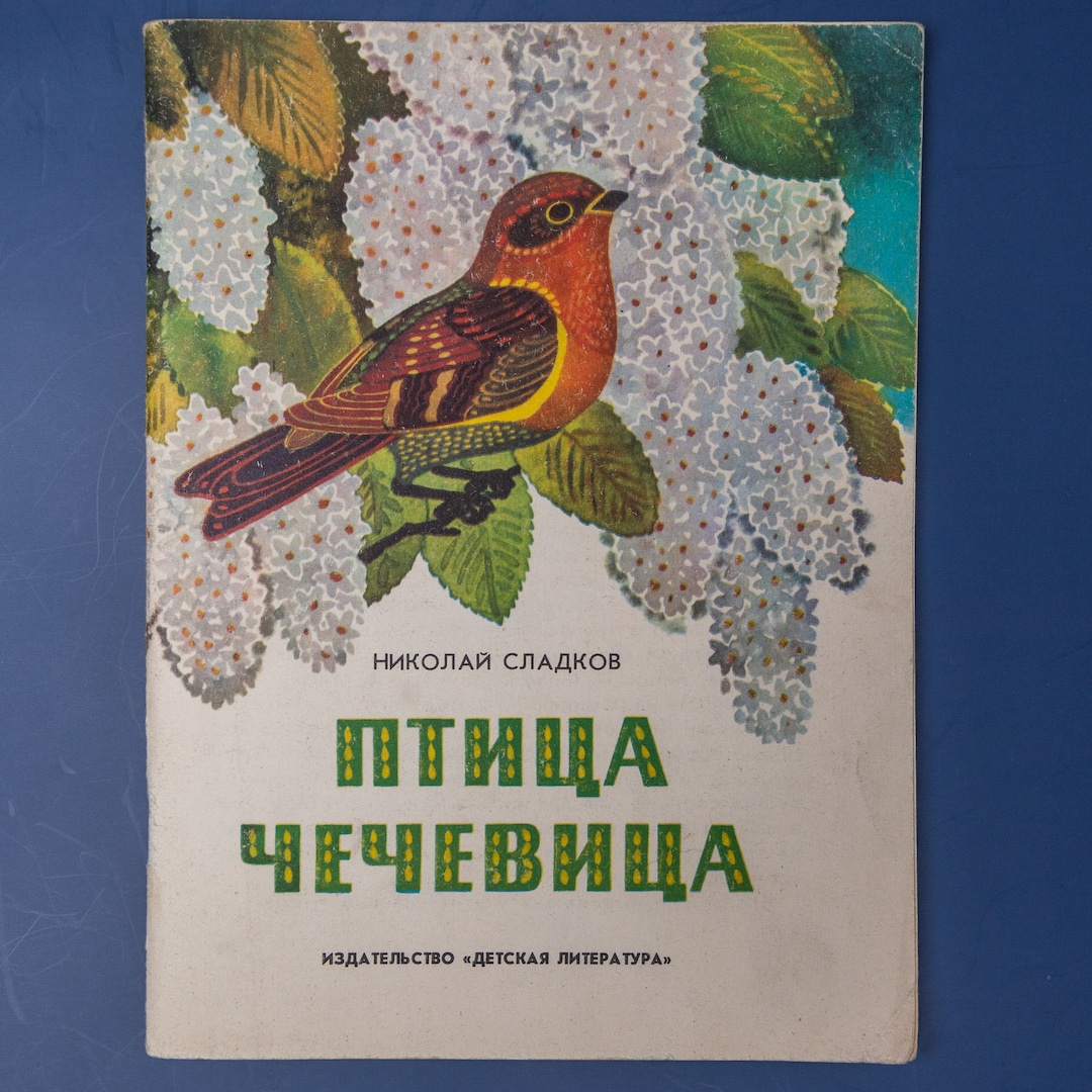 Vintage Russian Children's Book: Bird Lentil, Illustrated 1987 Edition ...