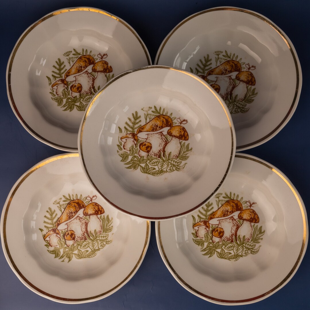 Soup Bowls With Mushrooms Cottage Core Soviet Kids Plates Riga ...