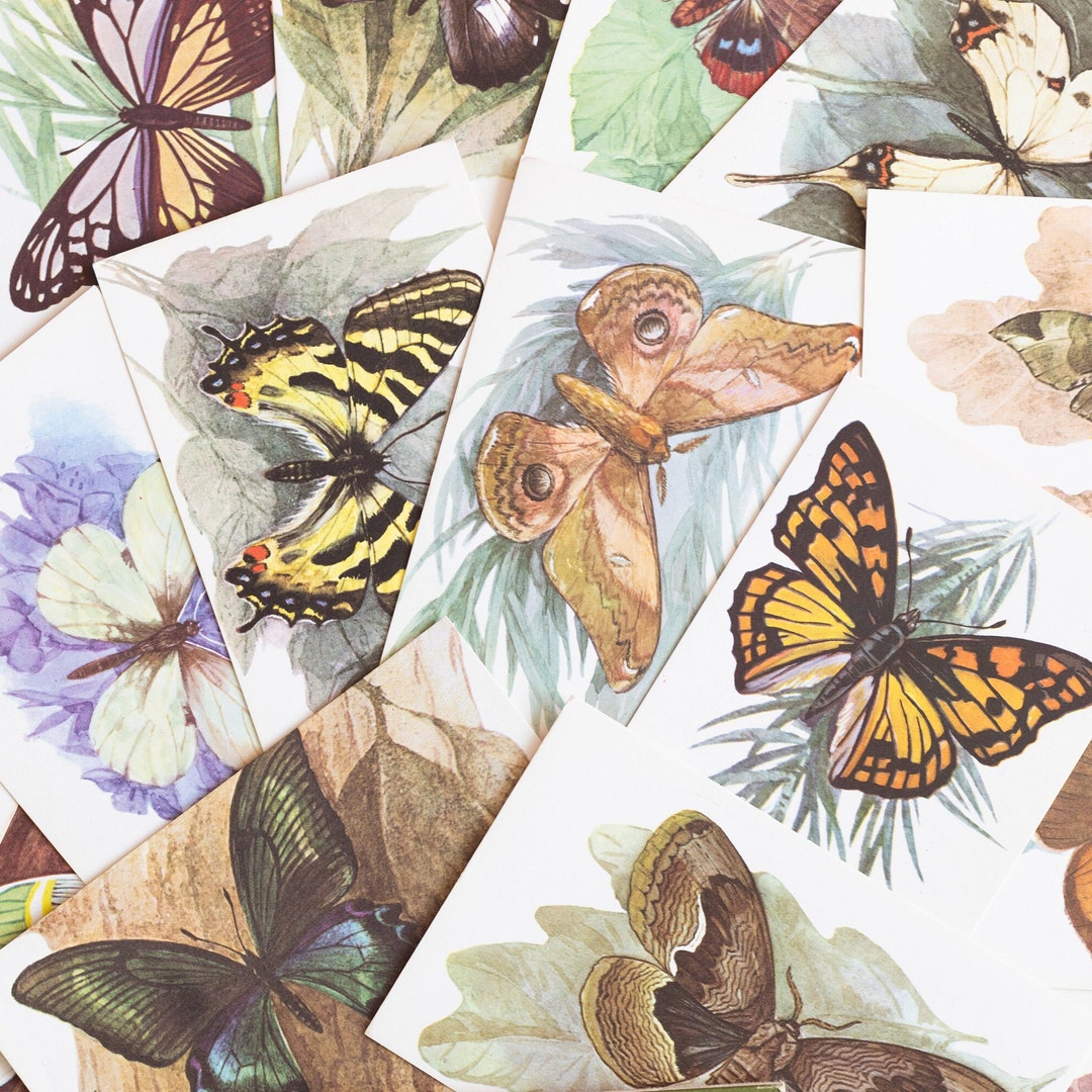 Botanical Postcards Butterfly Art Print Set Soviet Ephemera Insect ...