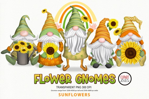 Sunflower Gnome Clipart Garden Gnomes PNG Yellow Flowers - Etsy