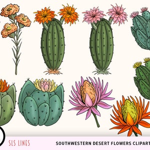 Desert Flowers Clipart, Southwestern Florals, Cactus Png, Cactus ...