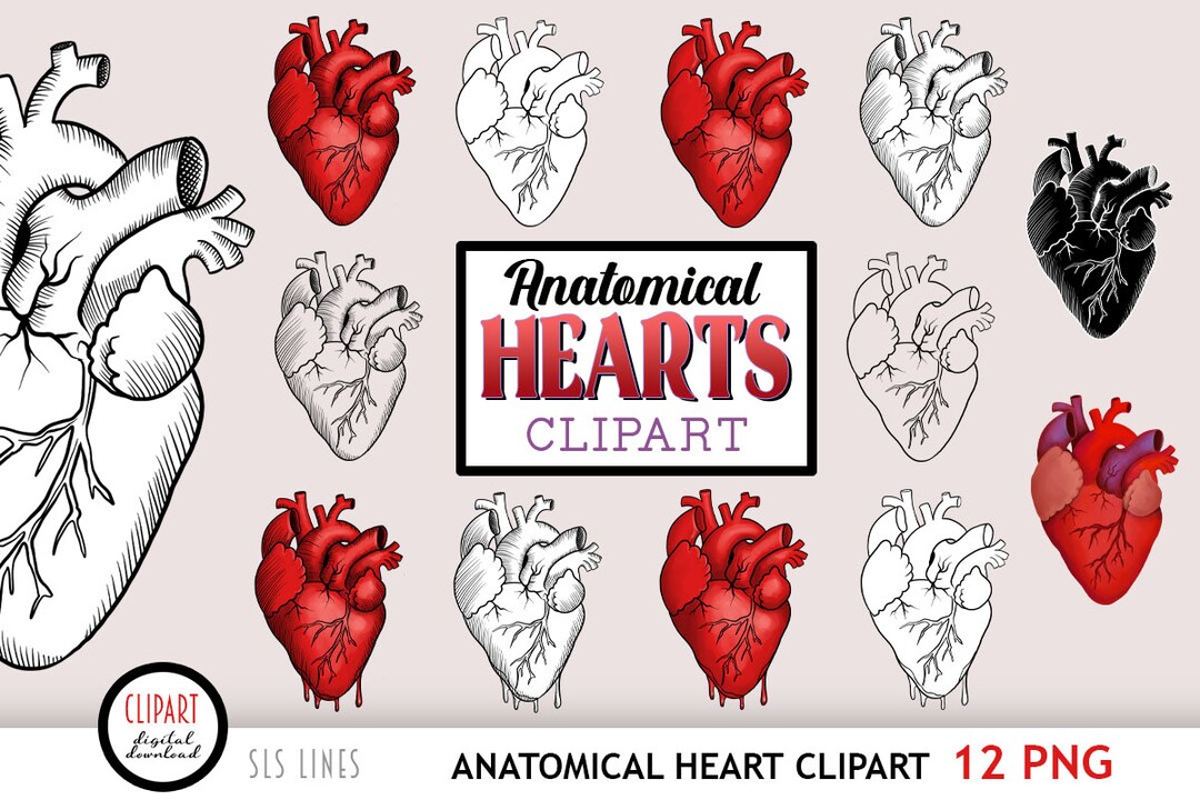 Anatomical Heart Clipart, Dark Valentine Hearts PNG Files, Bloody Heart ...