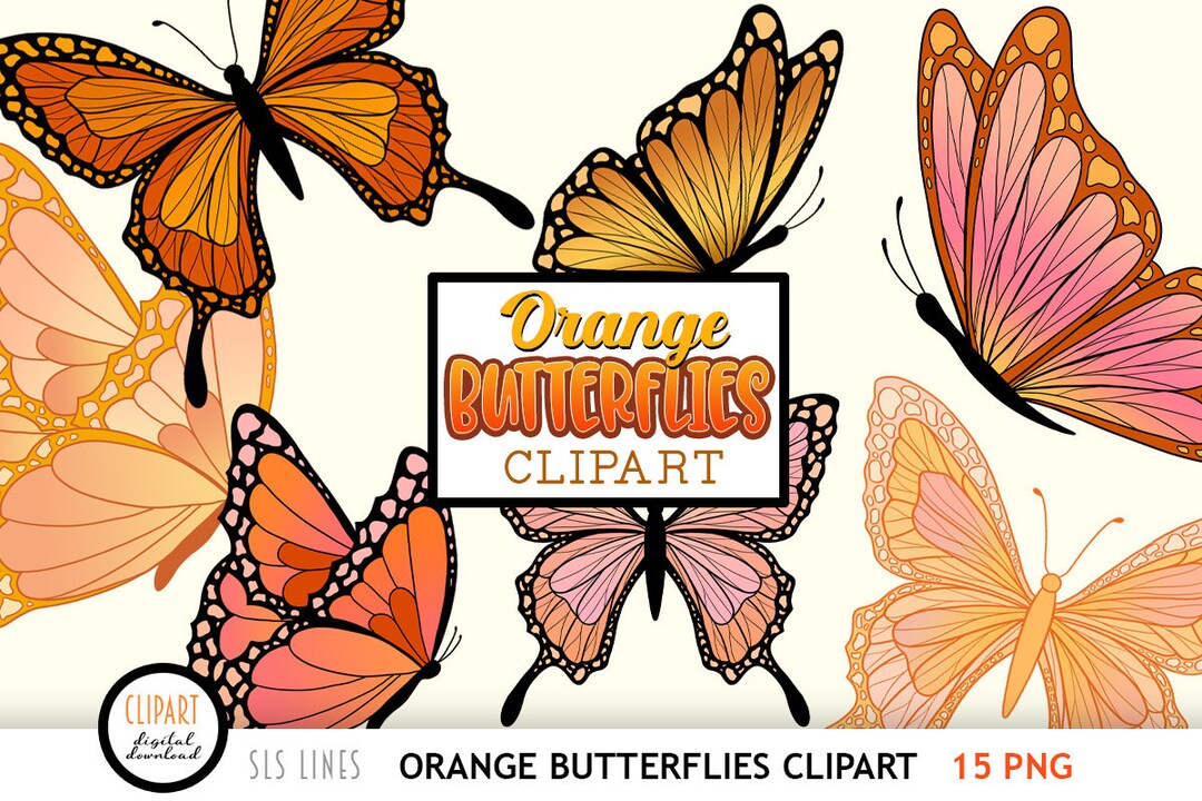 Orange Butterflies Clipart Pretty Butterfly Illustrations PNG Files - Etsy