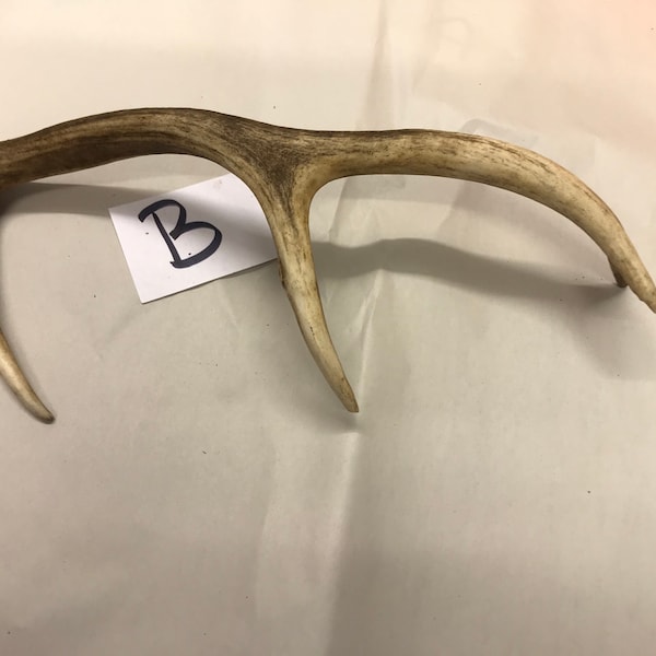 Deer Sheddings - Etsy UK