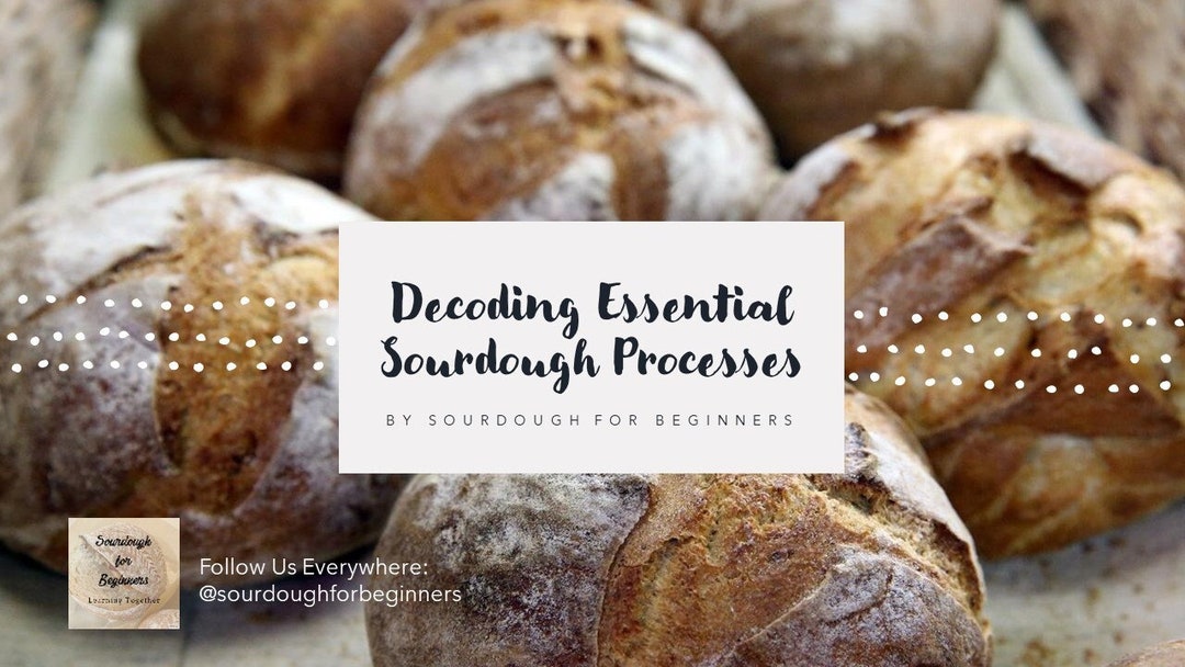 Sourdough Essentials Guide - Decode Sourdough - Learn Which Processes ...
