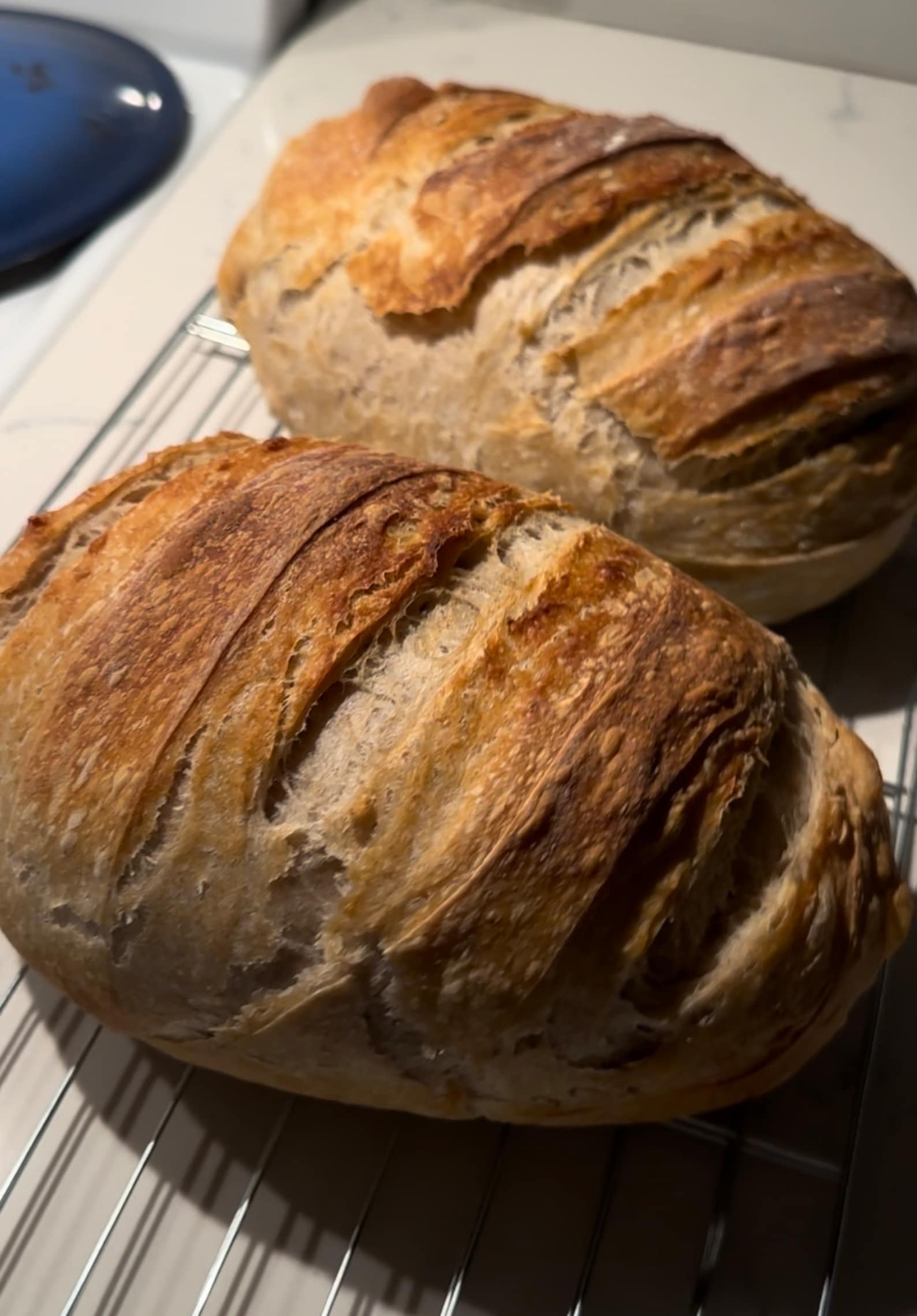 Printable Sourdough Essential Processes Recipes - Starter, Maintenance, Beginner Bread Recipe ...