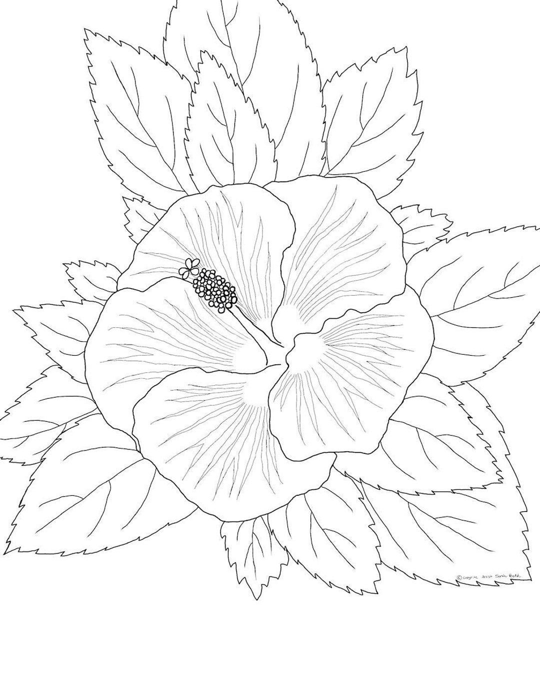 Hibiscus Flower Coloring Page - Etsy