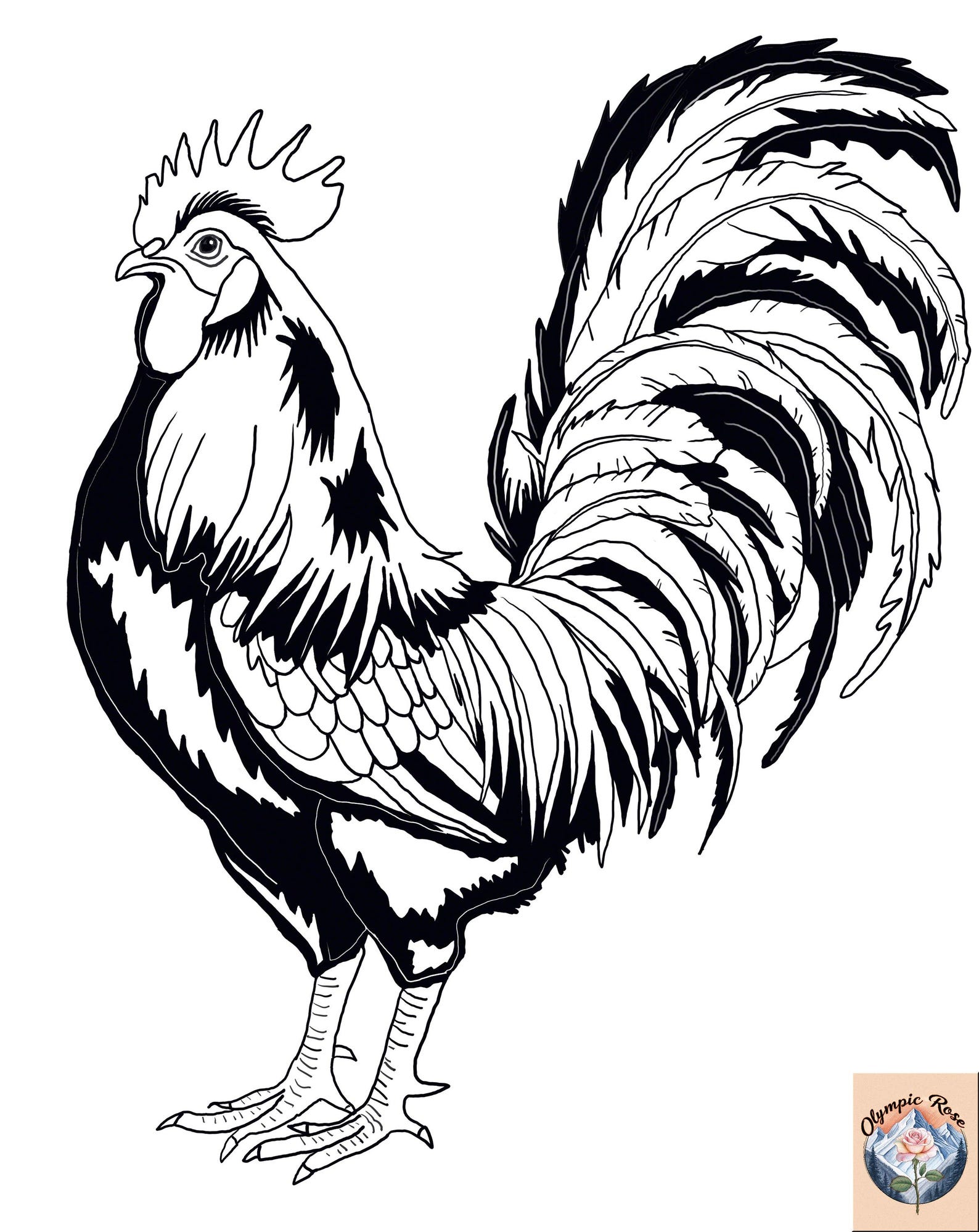 Chicken Coloring Page, Rooster Design, Chicken Lady Gift, Chicken Decor ...