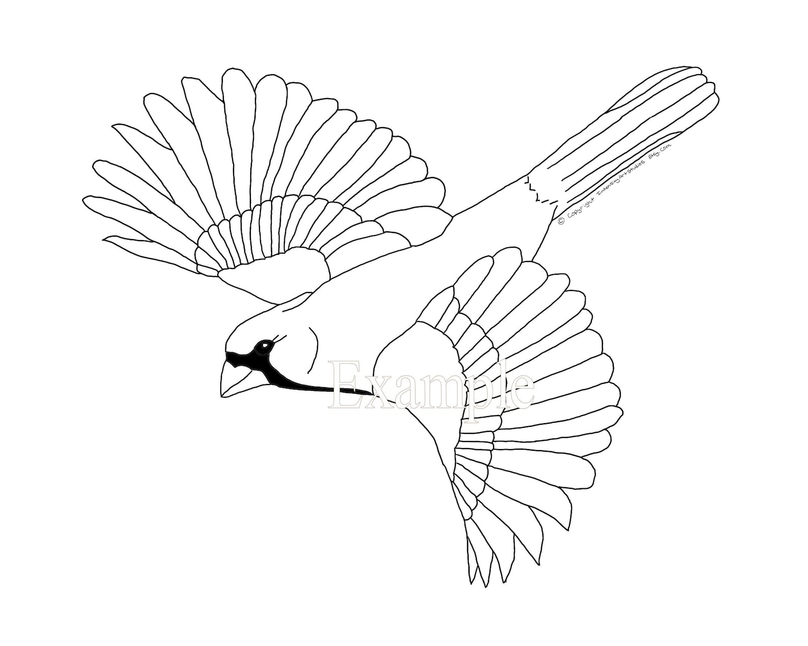 Cardinal in Flight Coloring Page, Digital Artwork for Instant Download ...