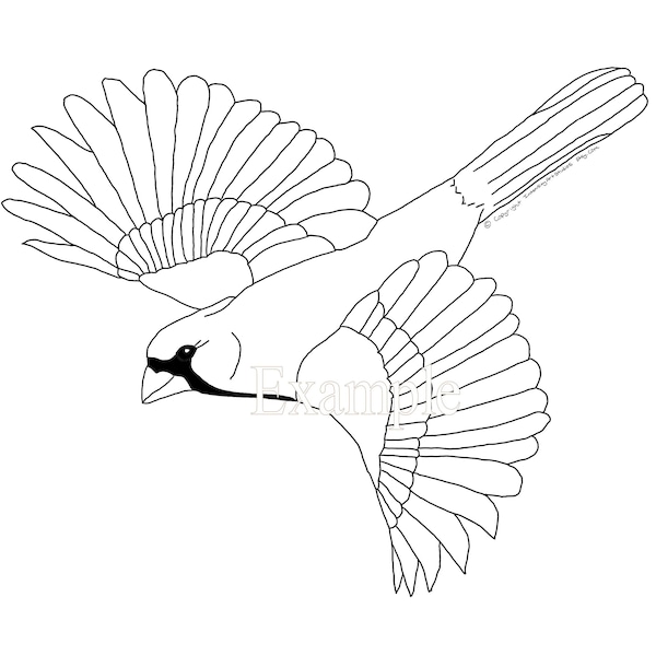 Cardinal in Flight - Etsy