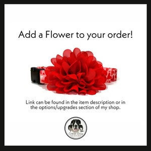 Bright Static Dog Collar, Cat Collar, Made to Order Available in Buckle ...