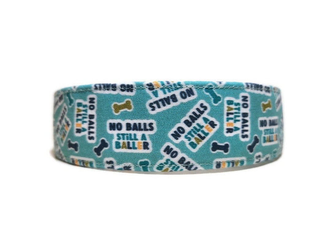 No Balls Still A Baller, Dog Collar, Made to Order Available in Buckle ...