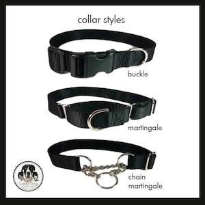 Bright Static Dog Collar, Cat Collar, Made to Order Available in Buckle ...