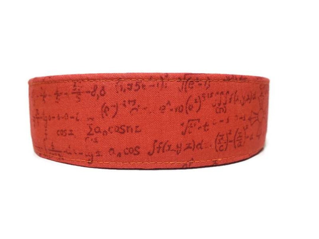 Math Formulas Custom Handmade Dog Collars & Cat Collars – Buckle ...