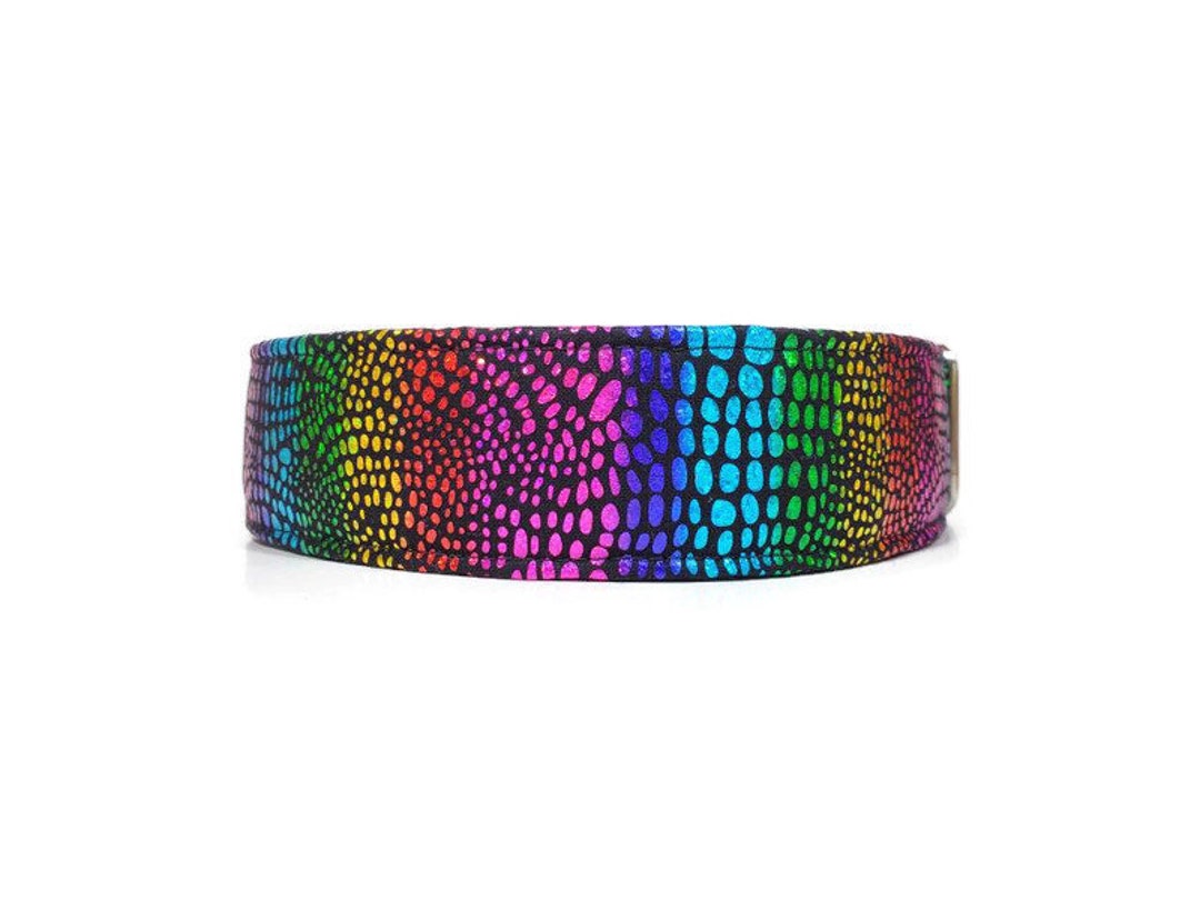 Metallic Rainbow Snake Skin Dog Collar: Handmade Buckle or Martingale ...