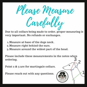 Bright Static Dog Collar, Cat Collar, Made to Order Available in Buckle ...