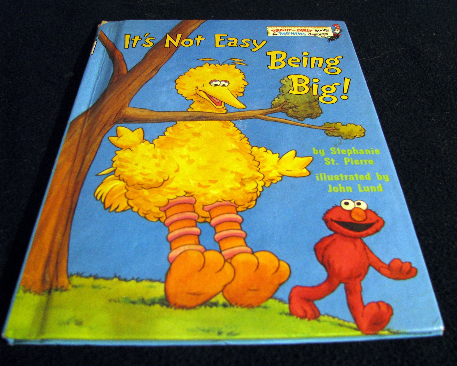 It's Not EASY BEING BIG (1998) by Stephanie St. Pierre - Vintage Sesame ...