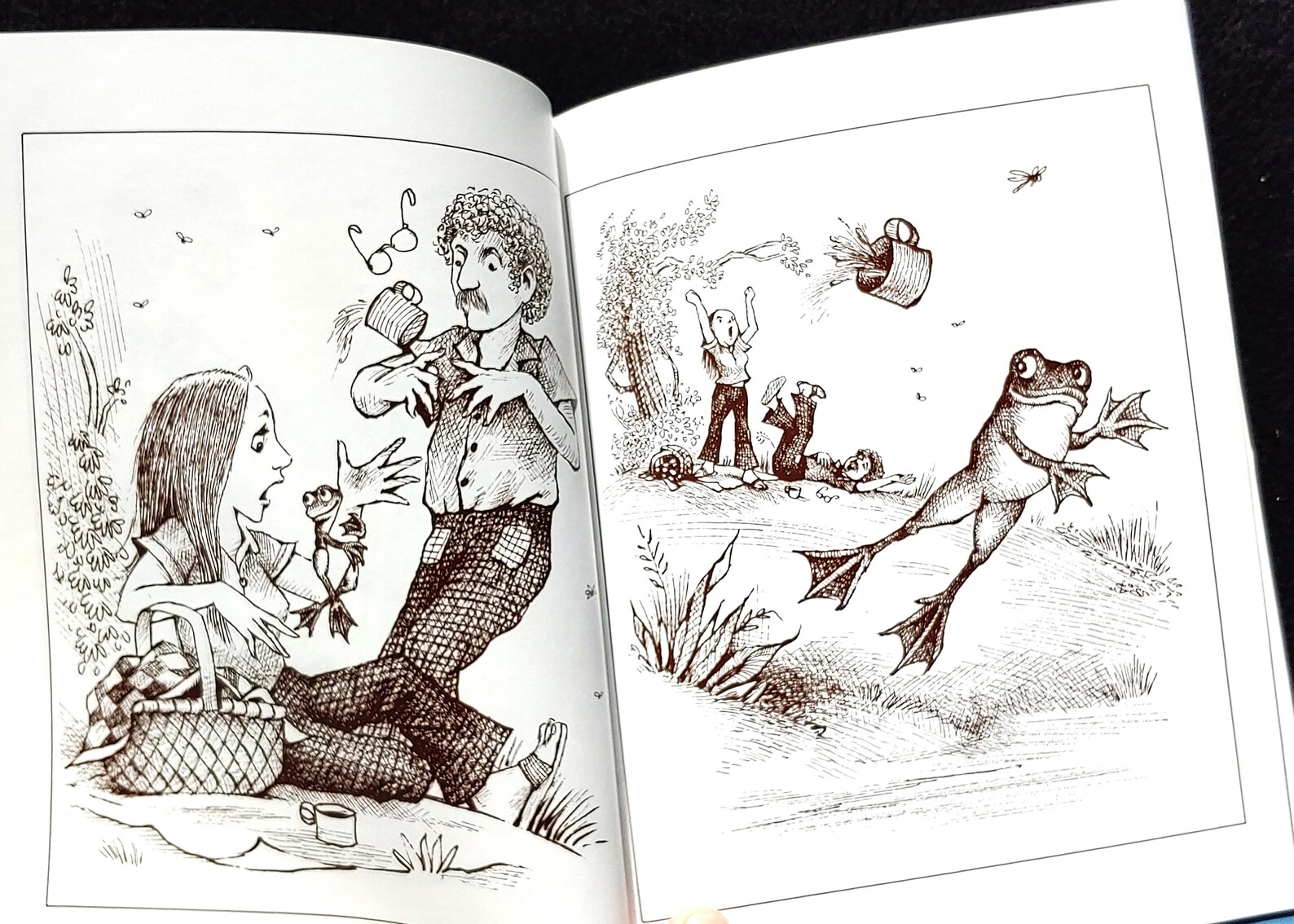 Frog on His Own - by Mercer Mayer (1973) Like New Condition - Hard ...