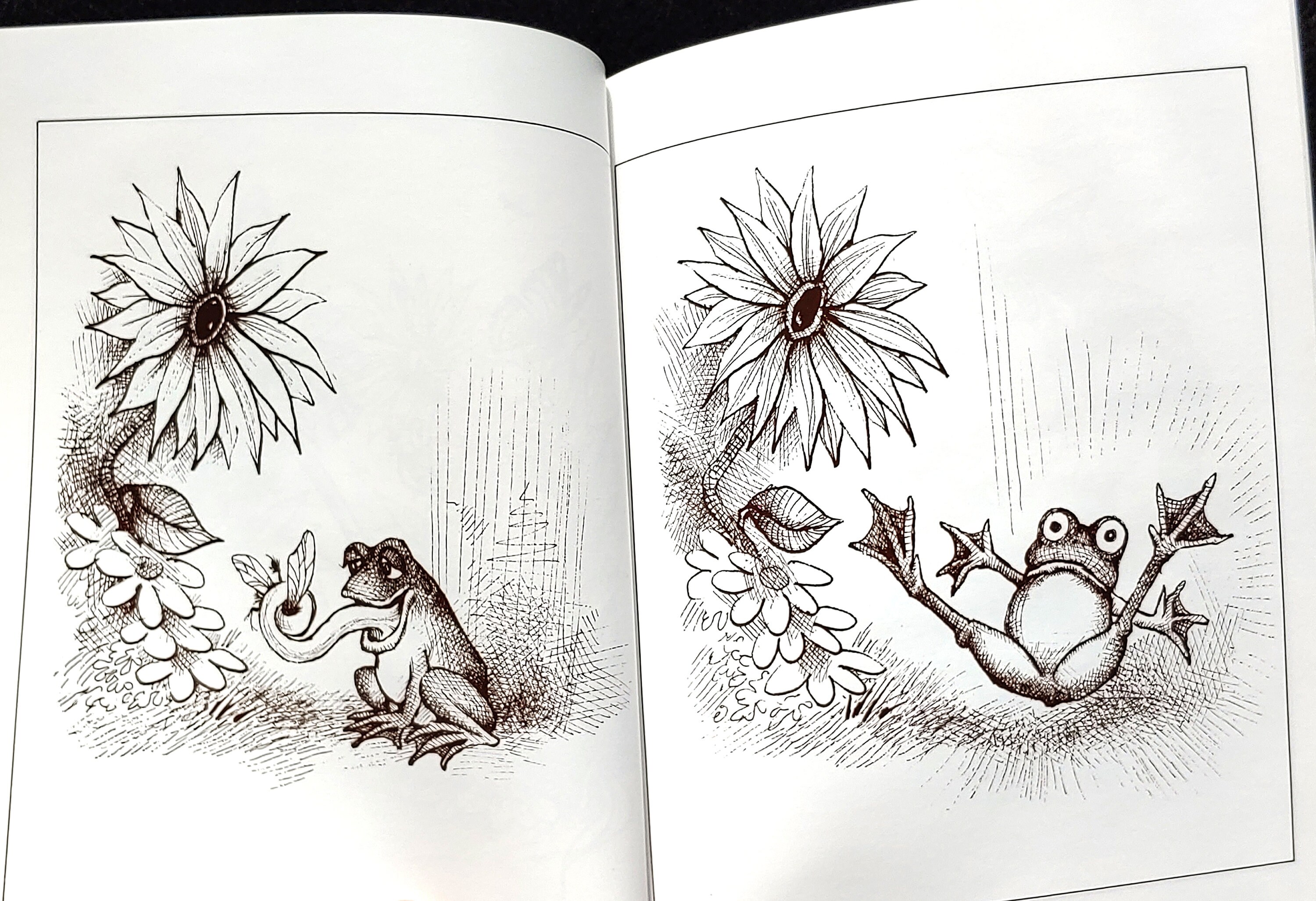 Frog on His Own - by Mercer Mayer (1973) Like New Condition - Hard ...