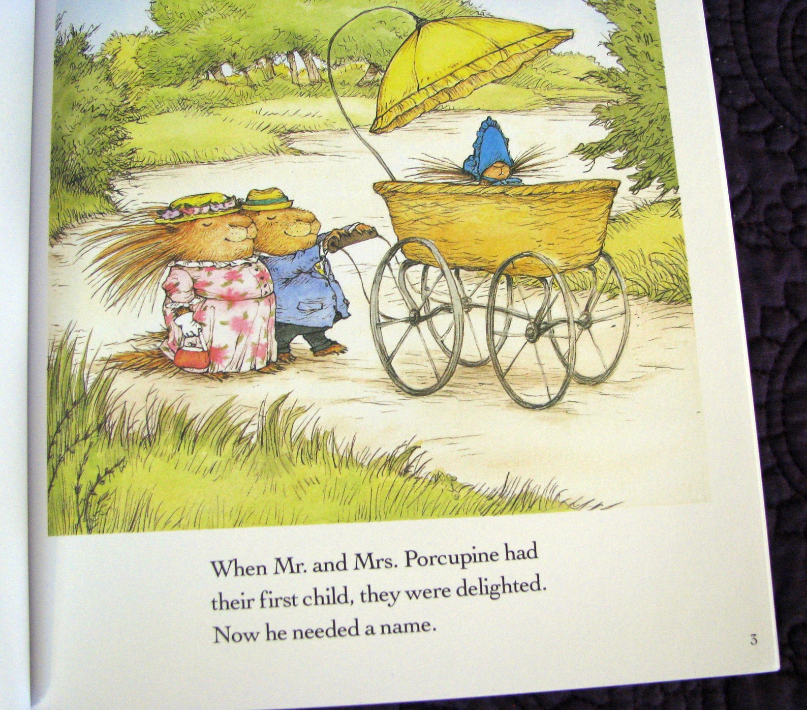 A PORCUPINE NAMED FLUFFY (1986) by Helen Lester - Vintage Children's ...