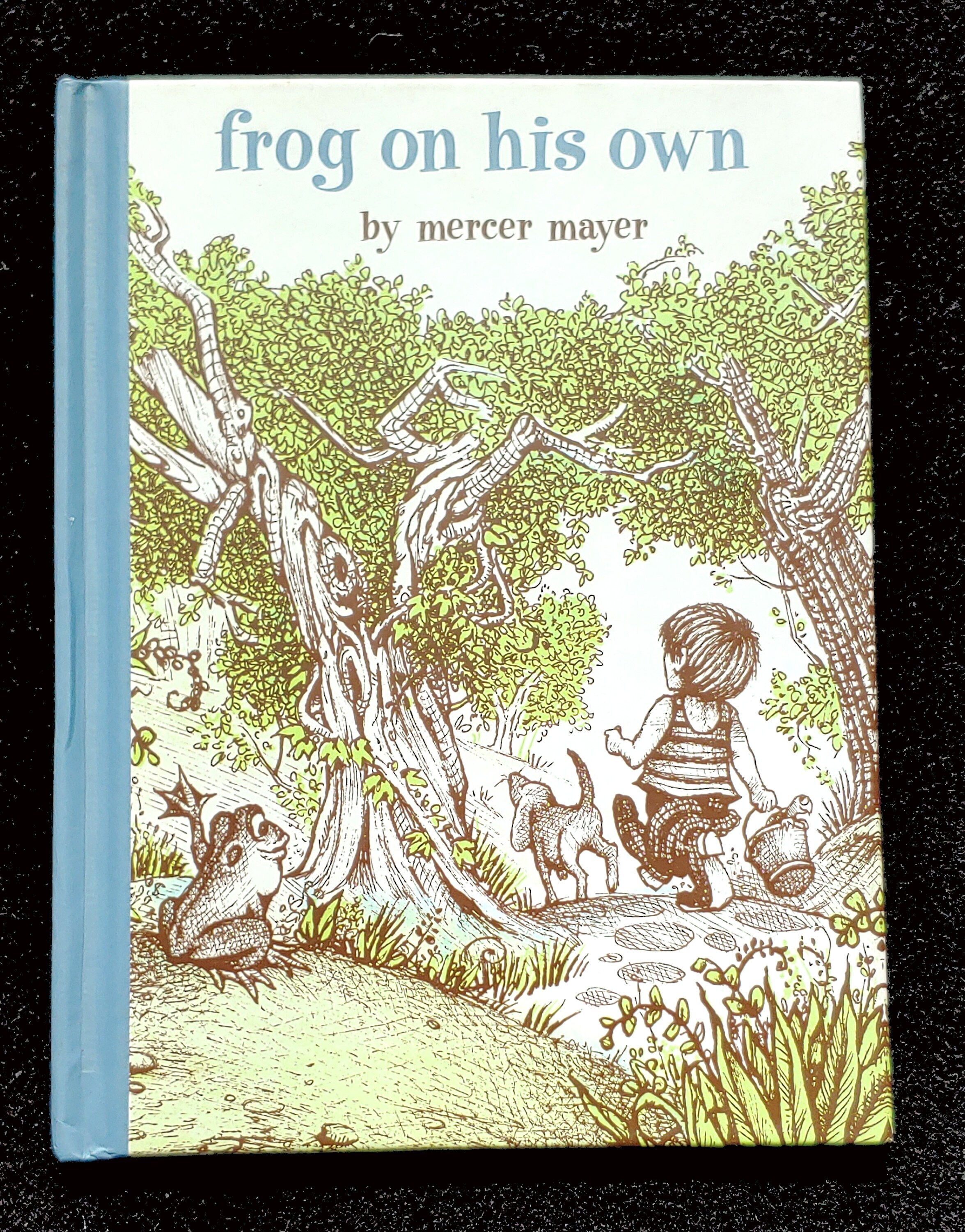 Frog on His Own - by Mercer Mayer (1973) Like New Condition - Hard ...