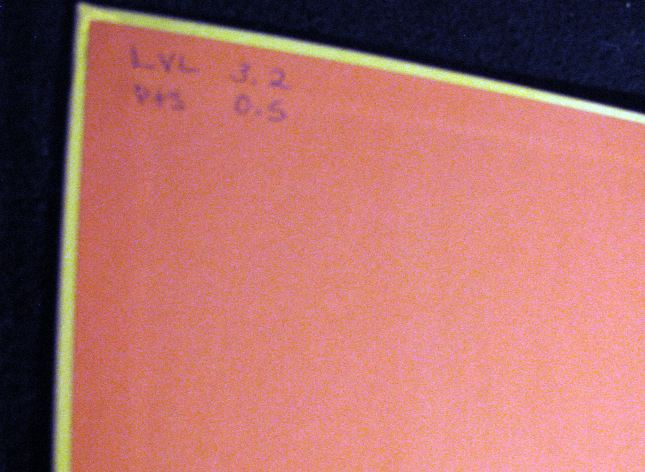 FLOSSIE & THE FOX 1986 by Patricia C. Mckissack Vintage - Etsy