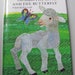 The LAMB and the BUTTERFLY 1988 by Arnold Sundgaard Like - Etsy