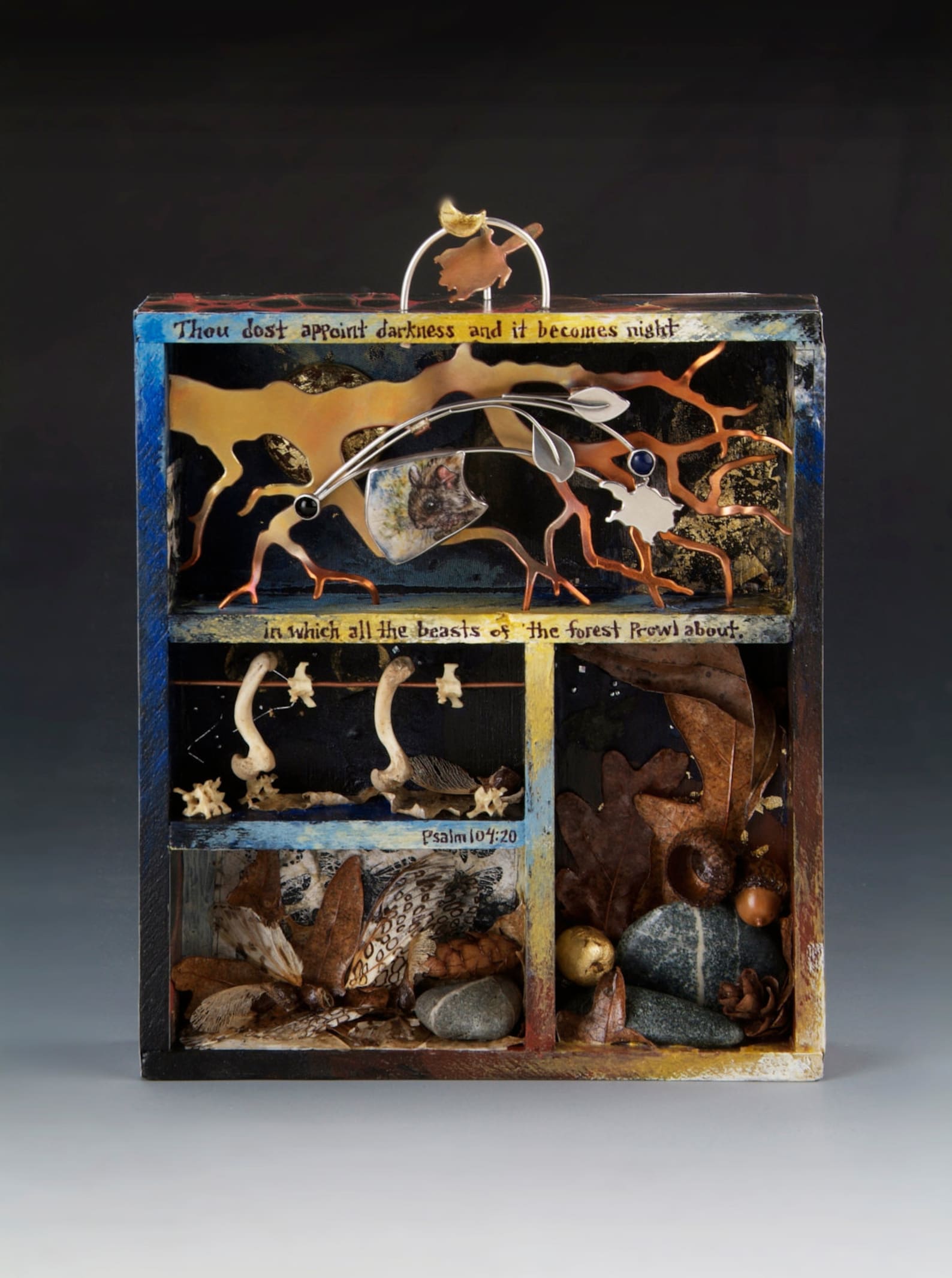 Flying Squirrel Box With Pin - Etsy