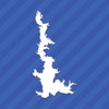 New Zealand Silver Fern Vinyl Decal Sticker Kiwi - Etsy