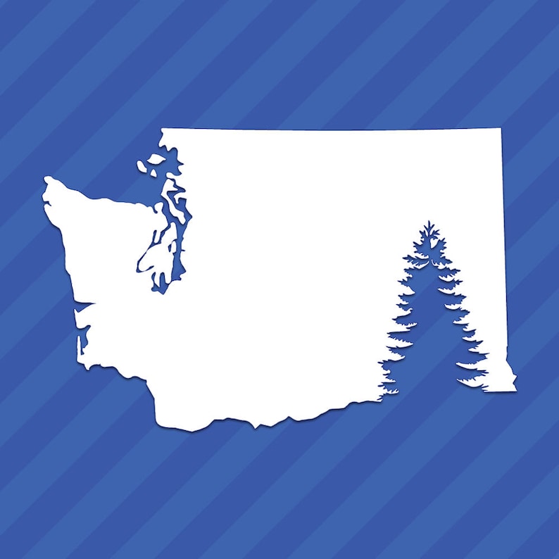 Washington Evergreen Tree WA State Outline Vinyl Decal Sticker - Etsy
