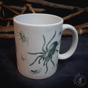 Vintage Ceramic Mug - Spider Anatomy - - Etsy