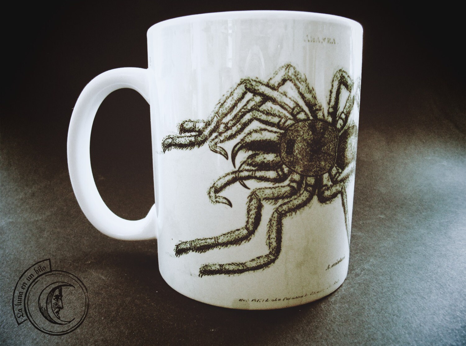 Vintage Ceramic Mug Spider Anatomy - Etsy