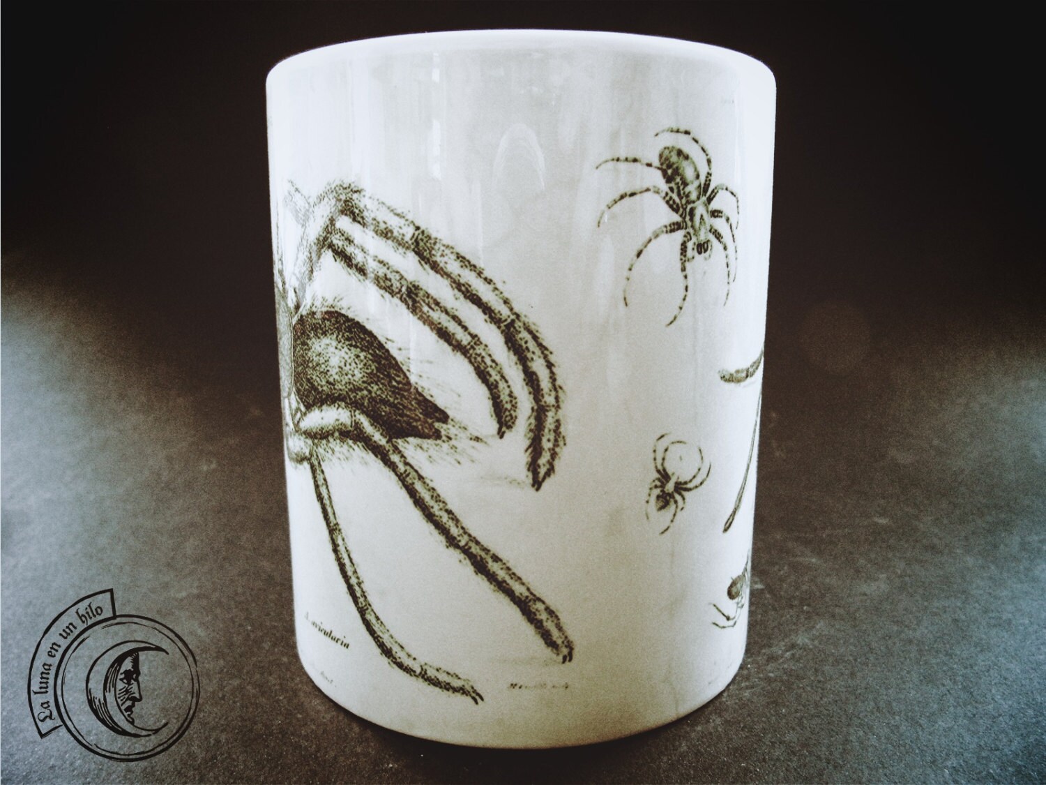 Vintage Ceramic Mug Spider Anatomy - Etsy