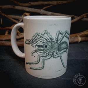 Vintage Ceramic Mug - Spider Anatomy - - Etsy