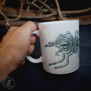 Vintage Ceramic Mug - Spider Anatomy - - Etsy
