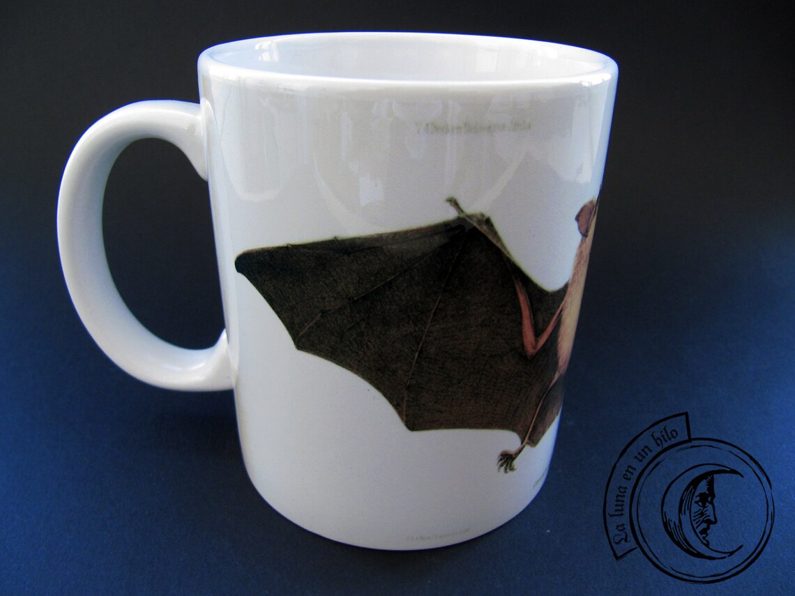 Vintage Ceramic Mug Bat Anatomy | Etsy
