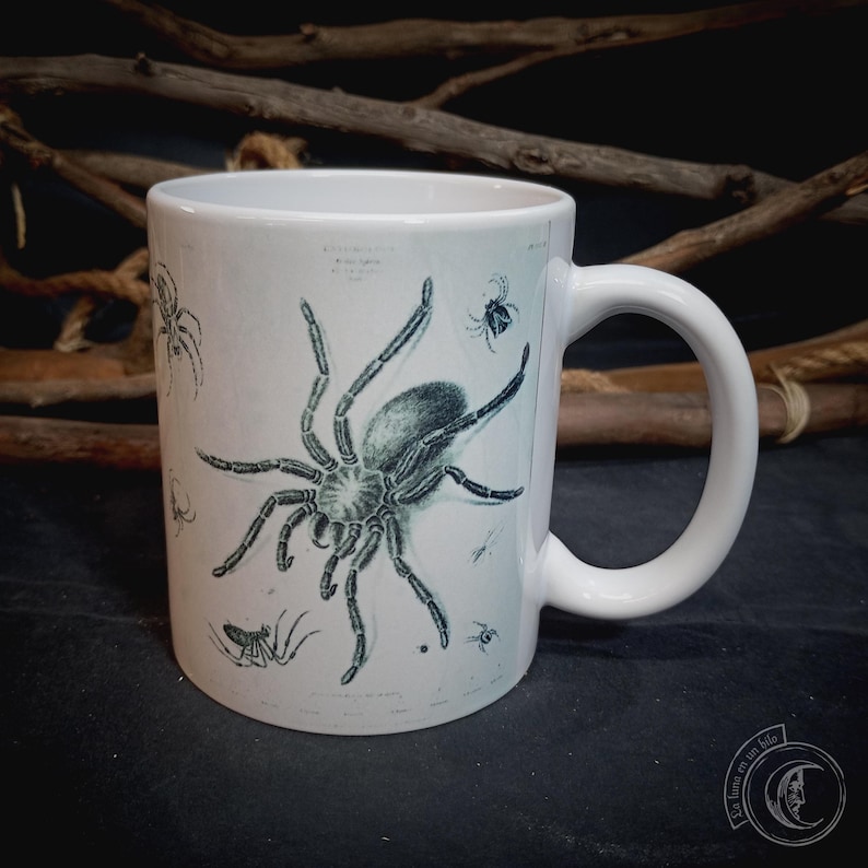 Vintage Ceramic Mug - Spider Anatomy - - Etsy