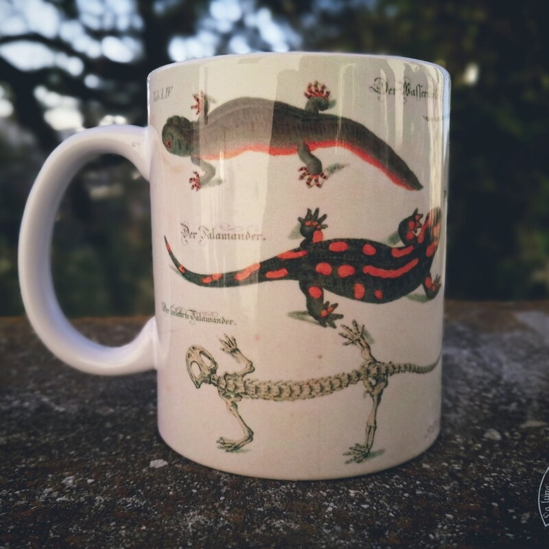 Lizard Mug - Etsy