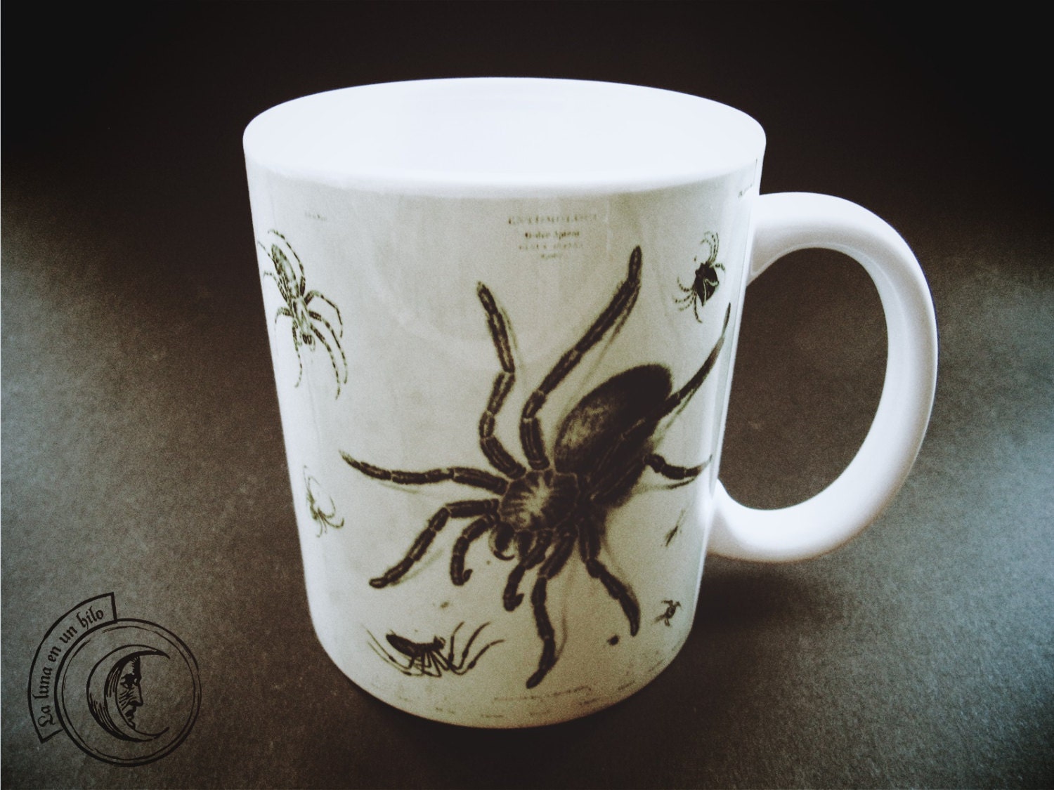 Vintage Ceramic Mug Spider Anatomy - Etsy