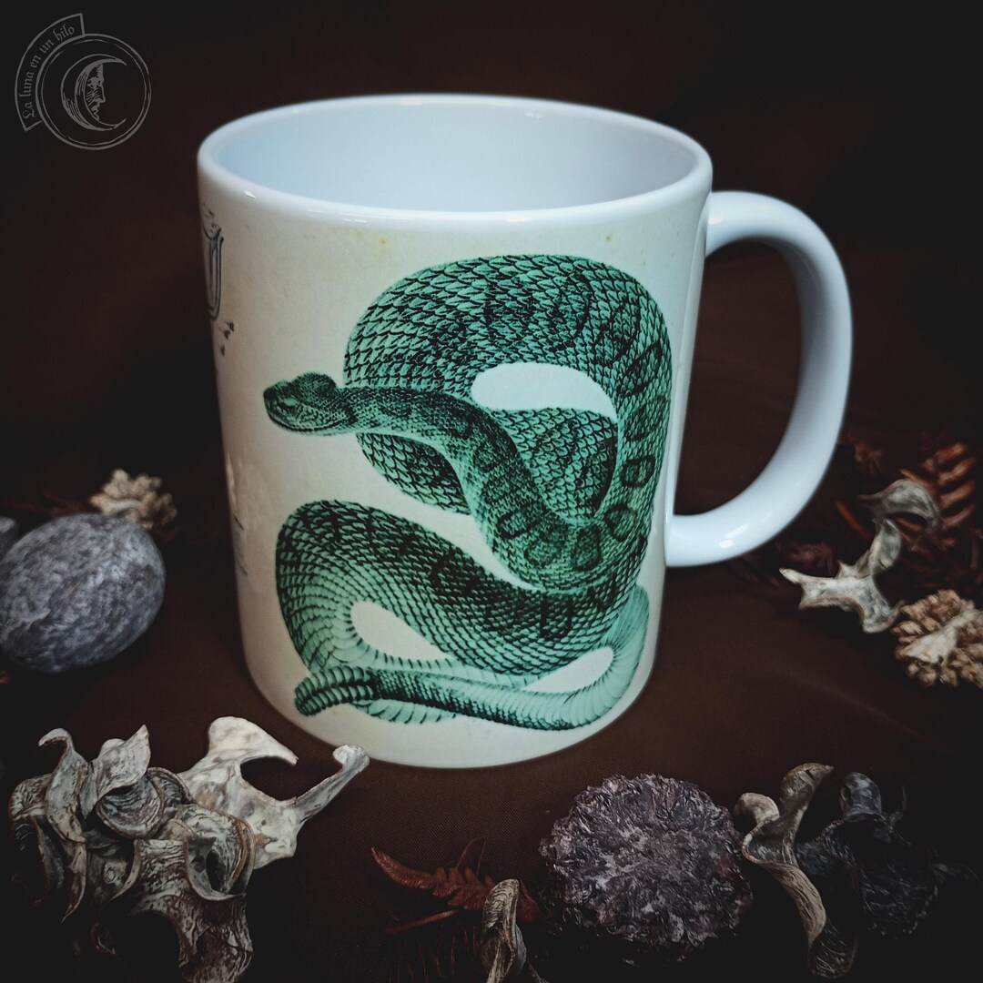 Vintage Ceramic Mug - Rattlesnake Anatomy - - Etsy