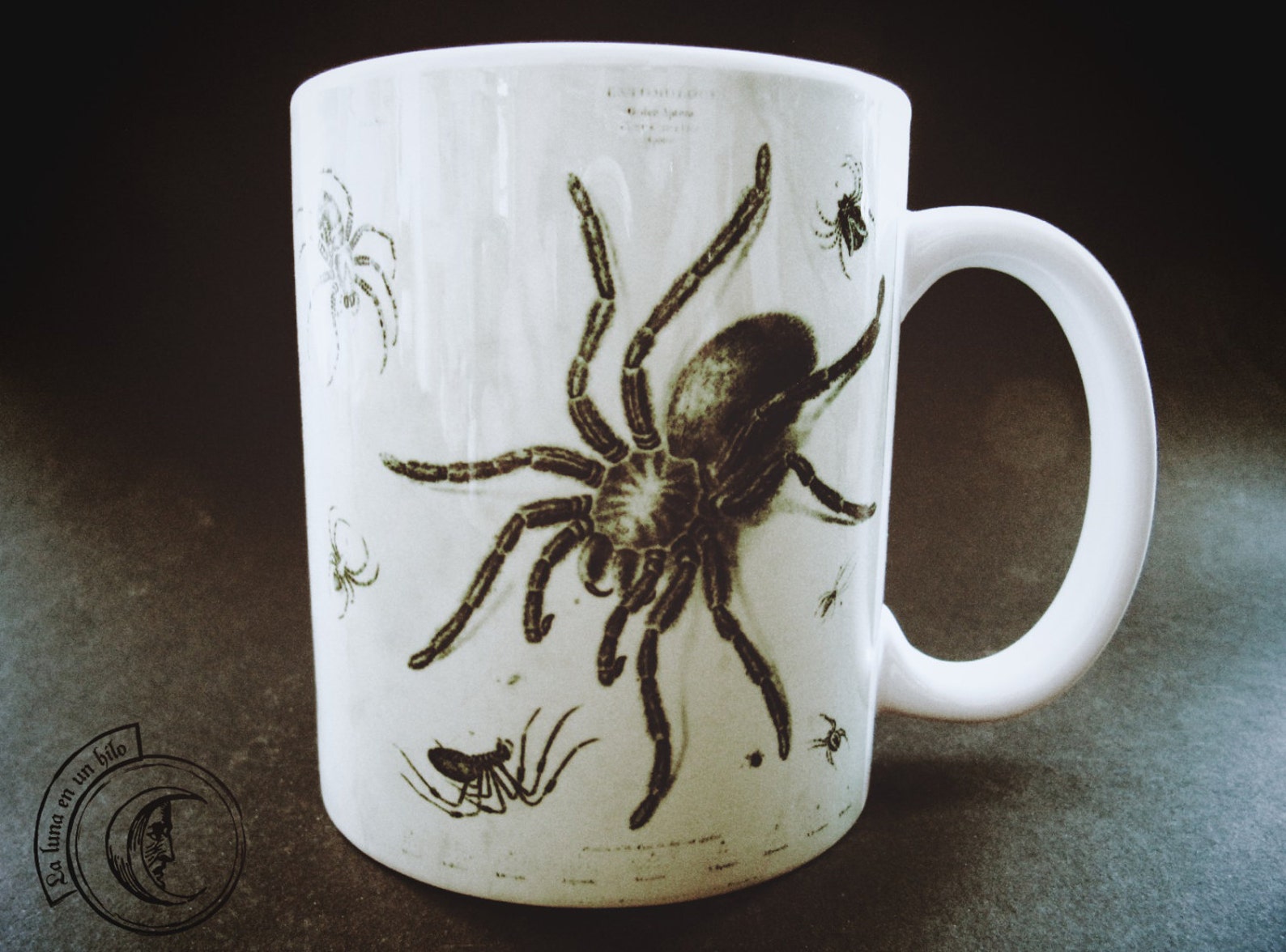 Vintage Ceramic Mug Spider Anatomy - Etsy