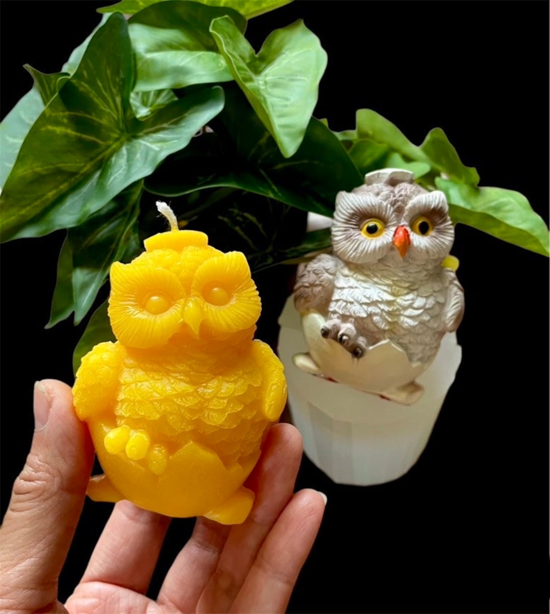 3” Silicone Hatching Owl Mold - Owl in Shell - 3D Baby Owl Candle Soap ...